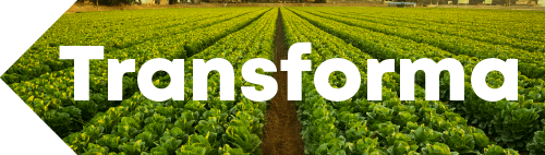 Transforma - Conciliac EDM